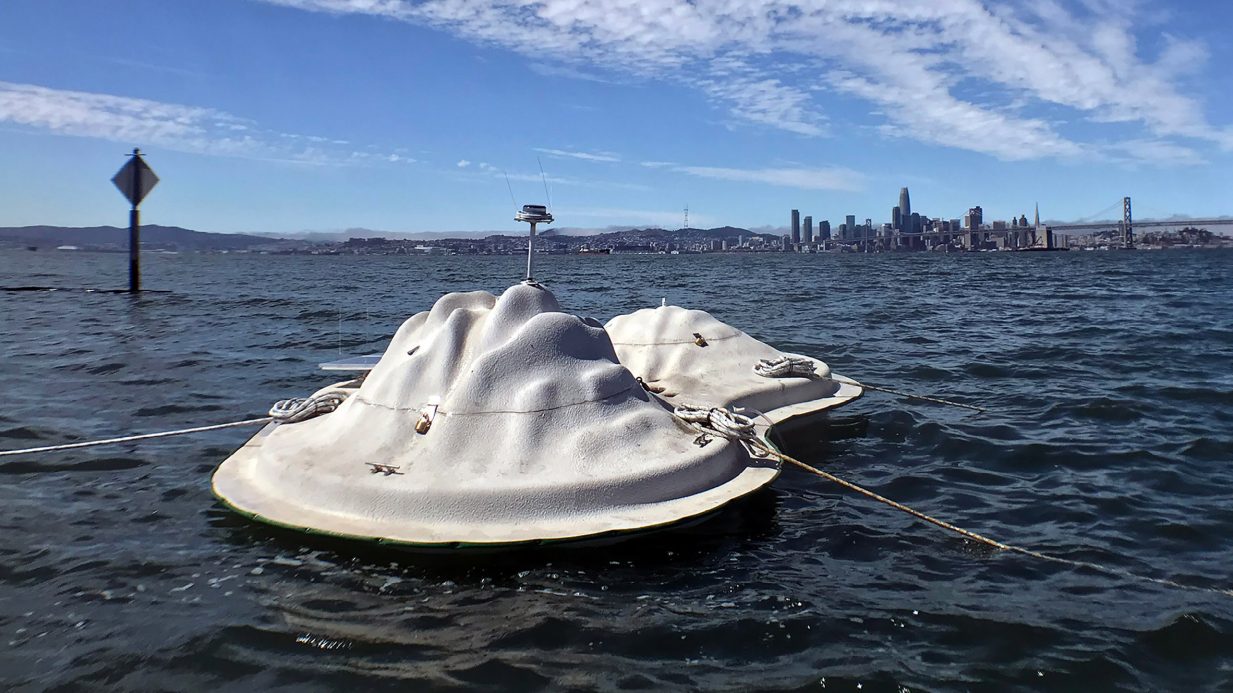 รู้จัก ‘FLOAT LAB’ ที่อยู่ใหม่ของสัตว์ทะเลป้องกันการกัดเซาะชายฝั่ง