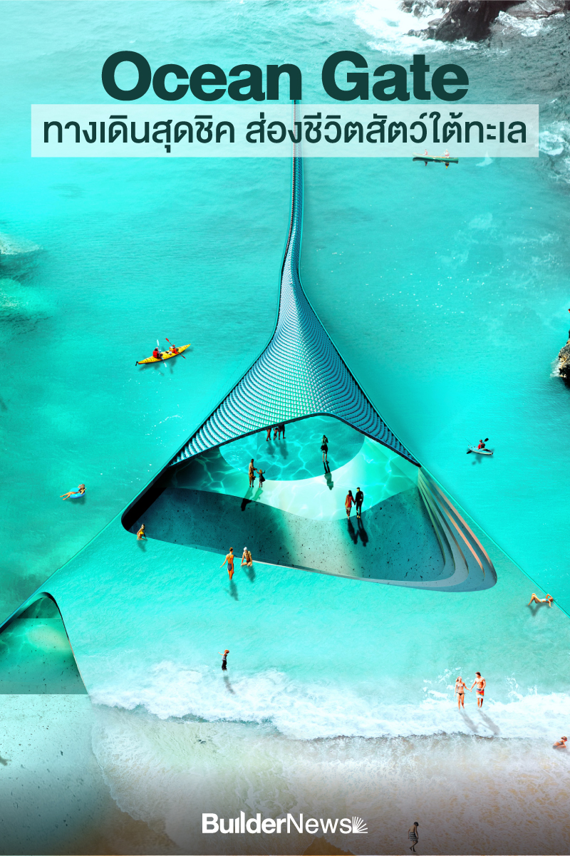 Ocean Gate ทางเดินสุดชิค ส่องชีวิตสัตว์ใต้ทะเล